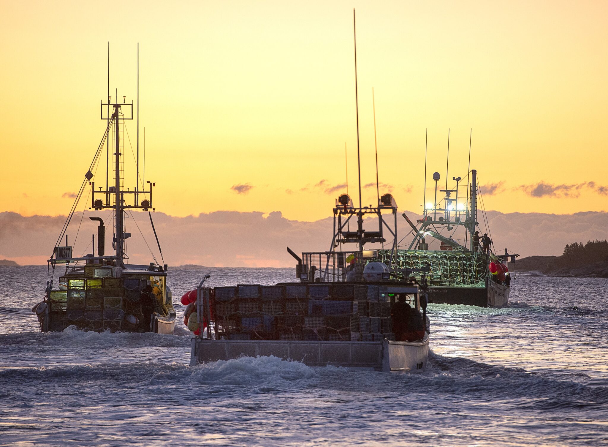 NS Fisheries Sector Survey - Roman 3 Operations